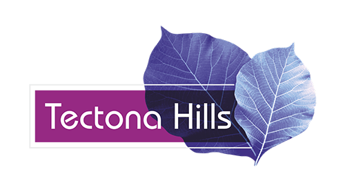 Luxury pool villa in khopoli for sale | SV Infratech